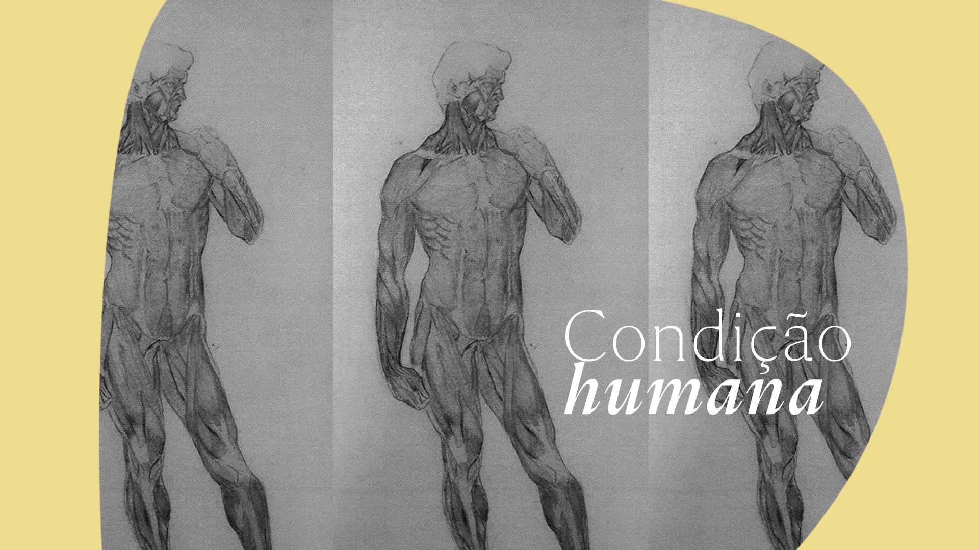 FMUL: Animating 200 Years of Medical Legacy – No Ideas No Art